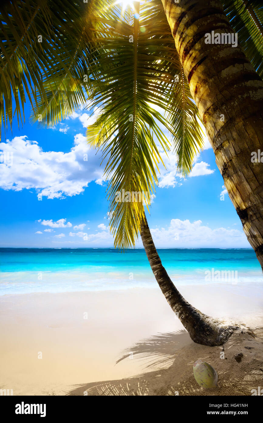 Art beautiful caribbean island hi-res stock photography and images - Alamy