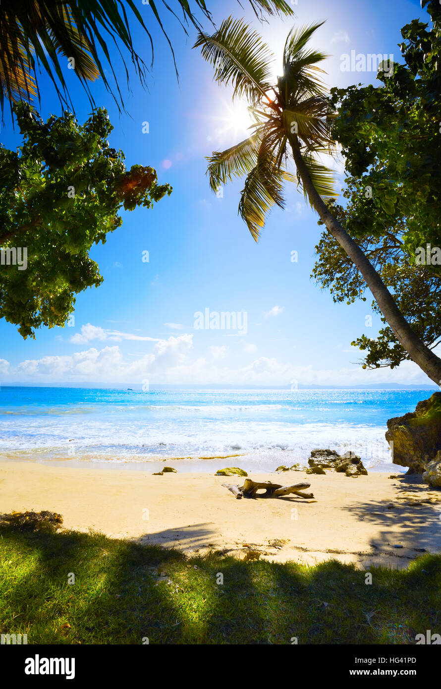 Art beautiful caribbean tropical hi-res stock photography and images ...