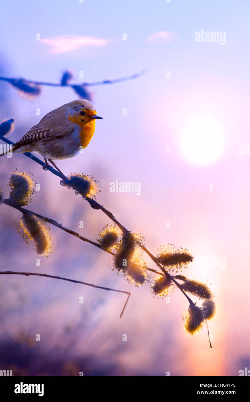 art beautiful spring background Stock Photo - Alamy