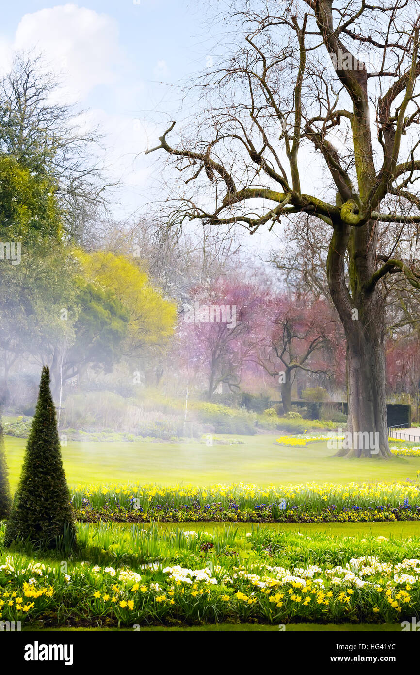 Art spring flowers in the English park Stock Photo - Alamy