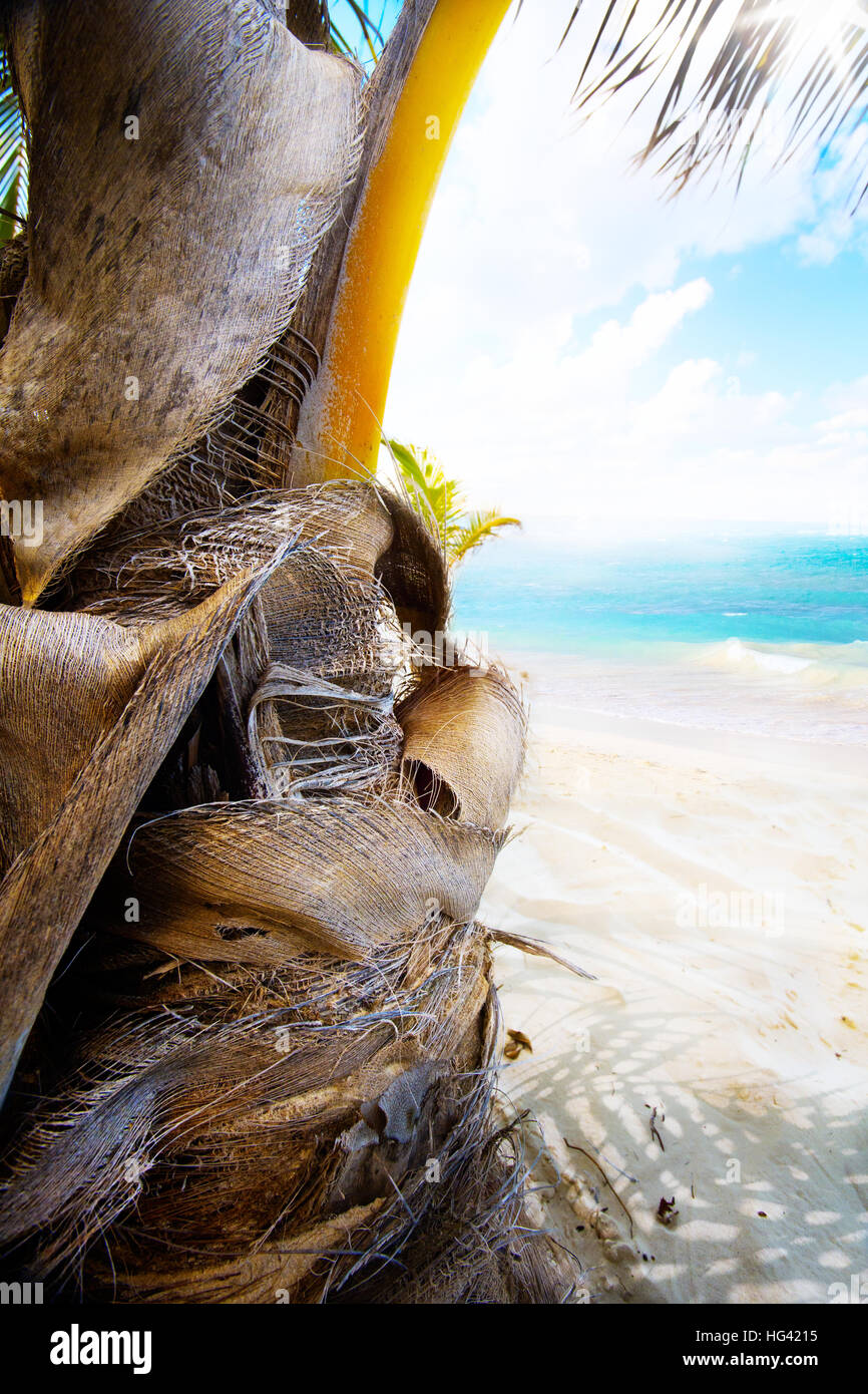 art summer tropical beach Stock Photo - Alamy