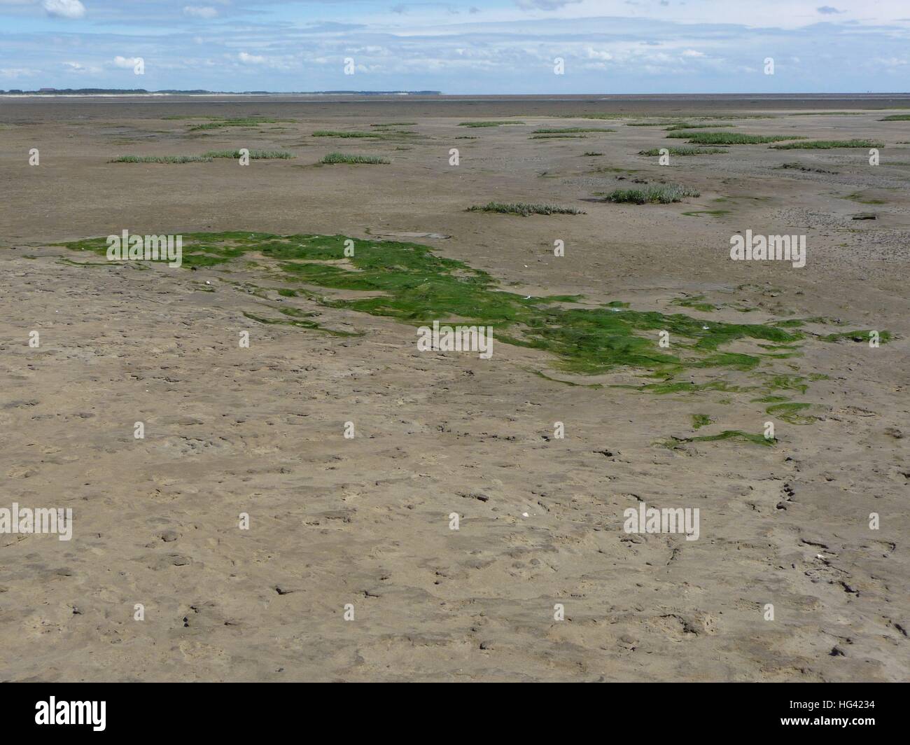 Tideland at North Sea island Amrum in Germany, pictured 13 July 2016 ...