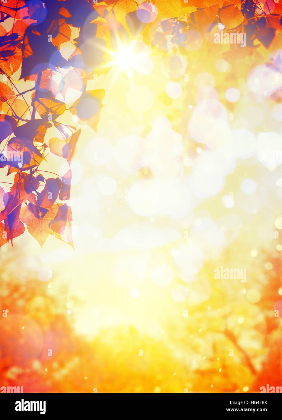 Autumn Soft colors in a forest background Stock Photo - Alamy