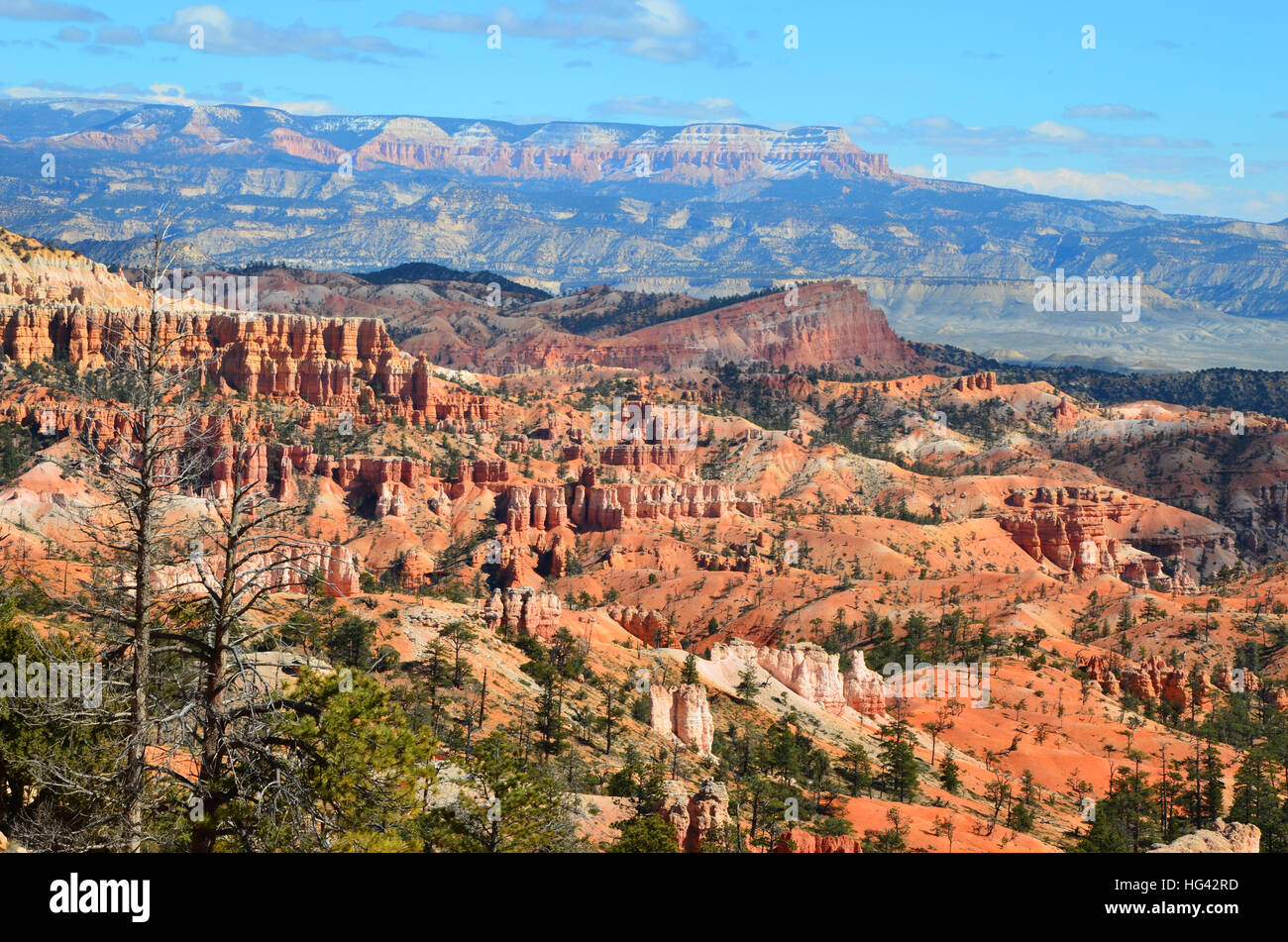 Sandrock canyon hi-res stock photography and images - Alamy