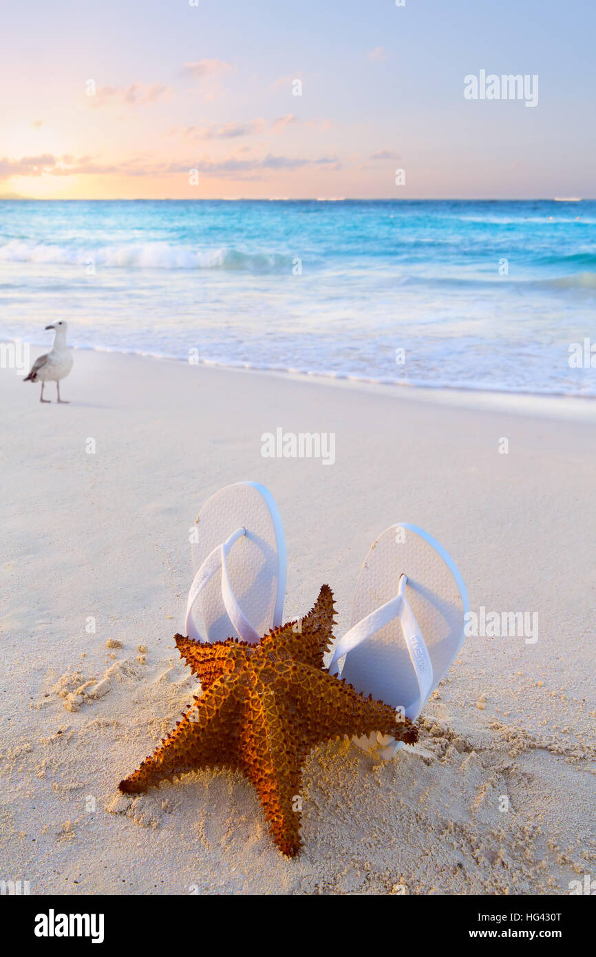 Art flip flops and starfish on a tropical beach Stock Photo - Alamy