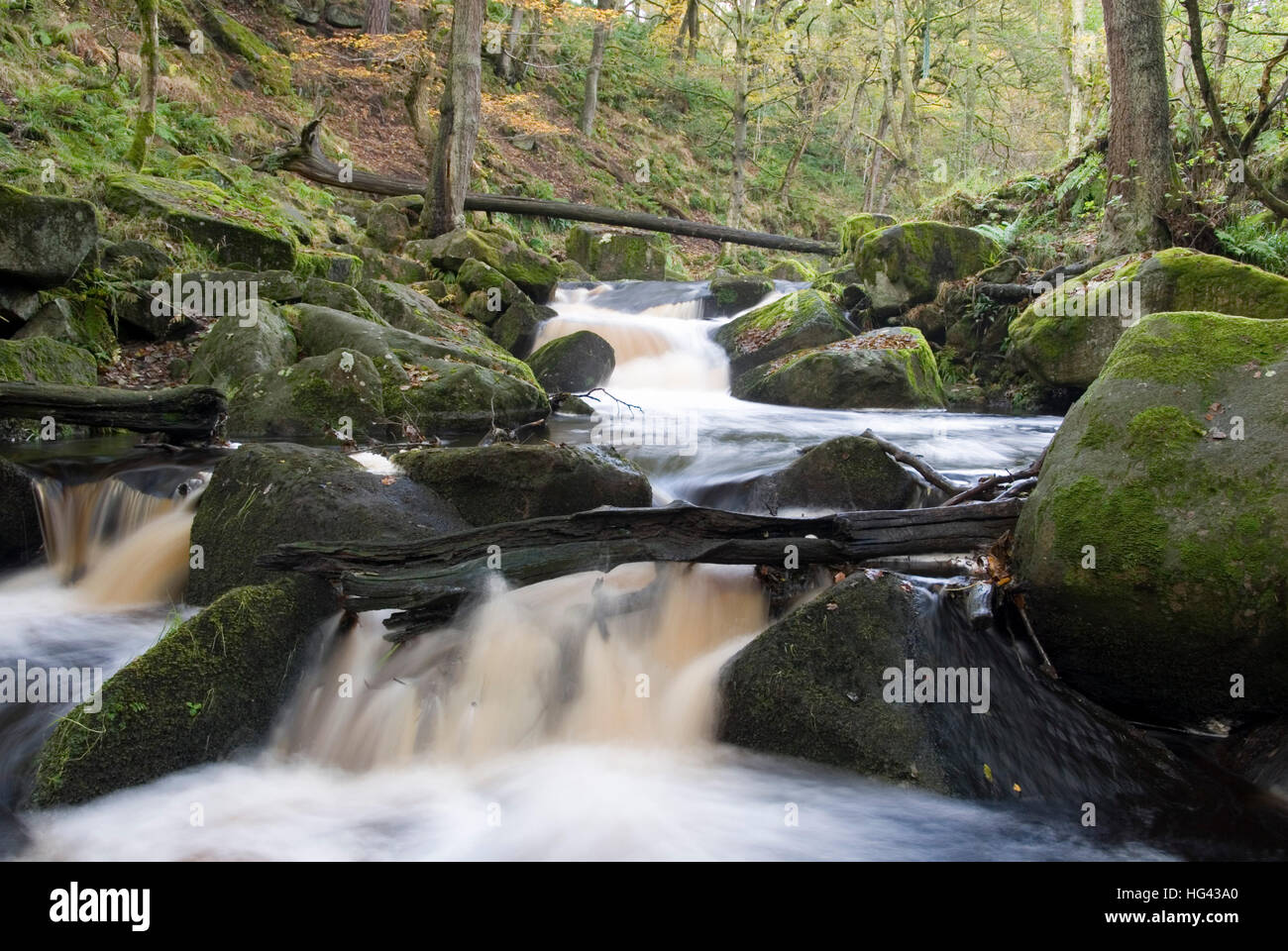 Burbage Brook flows down the forested rocky river valley of Padley ...