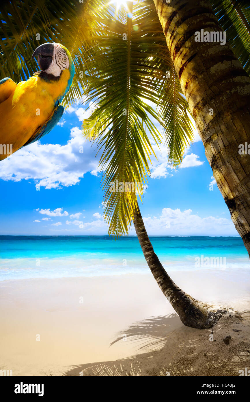 Art Tropical island, palm trees, beach, parrot Stock Photo - Alamy