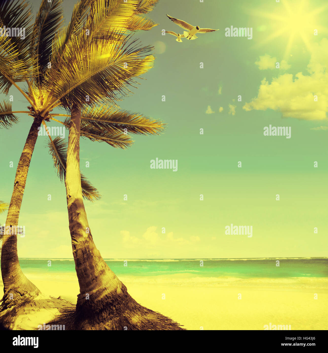 Art Untouched Caribbean tropical beach Stock Photo - Alamy