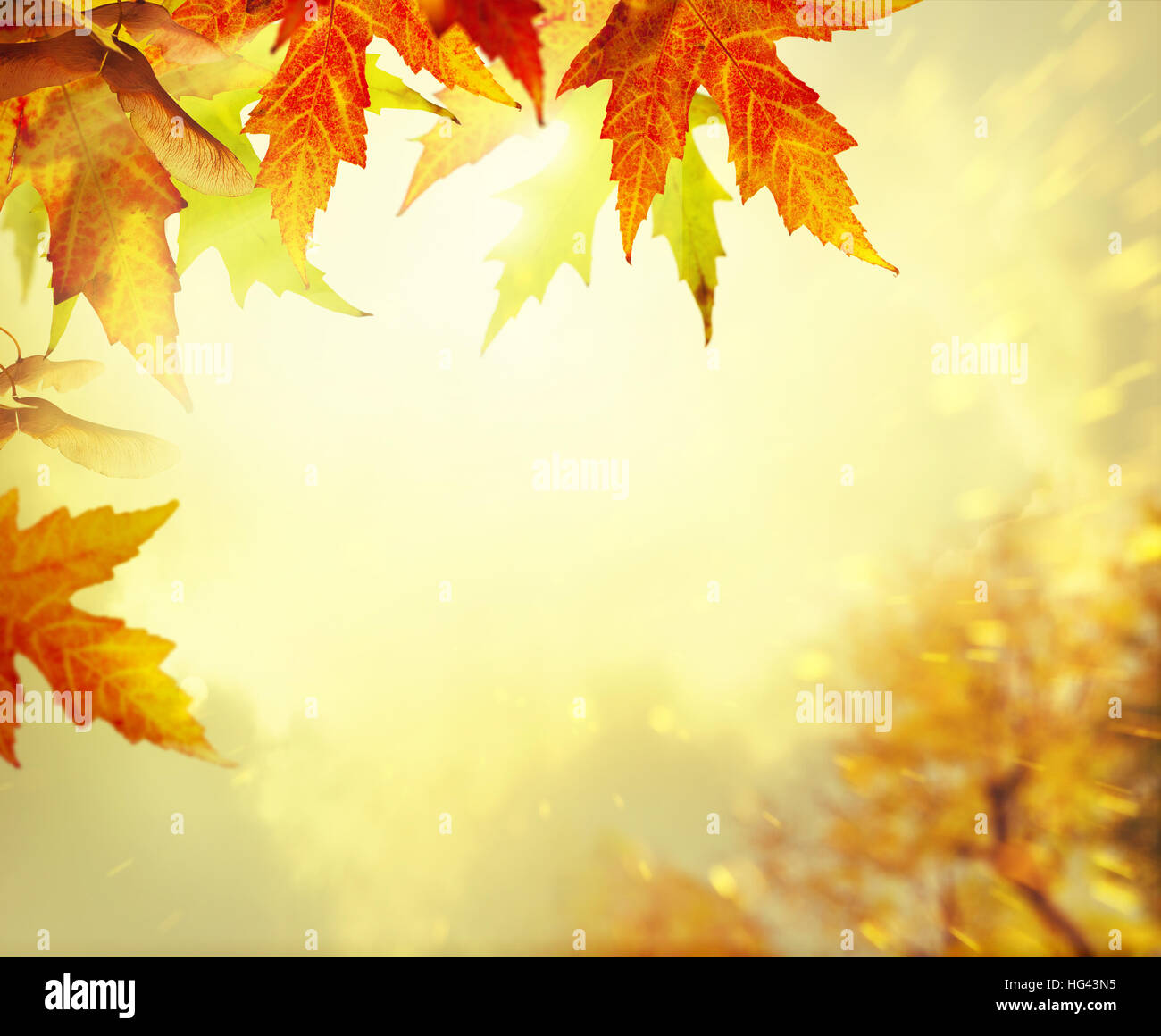 autumn yellow leaves background Stock Photo - Alamy