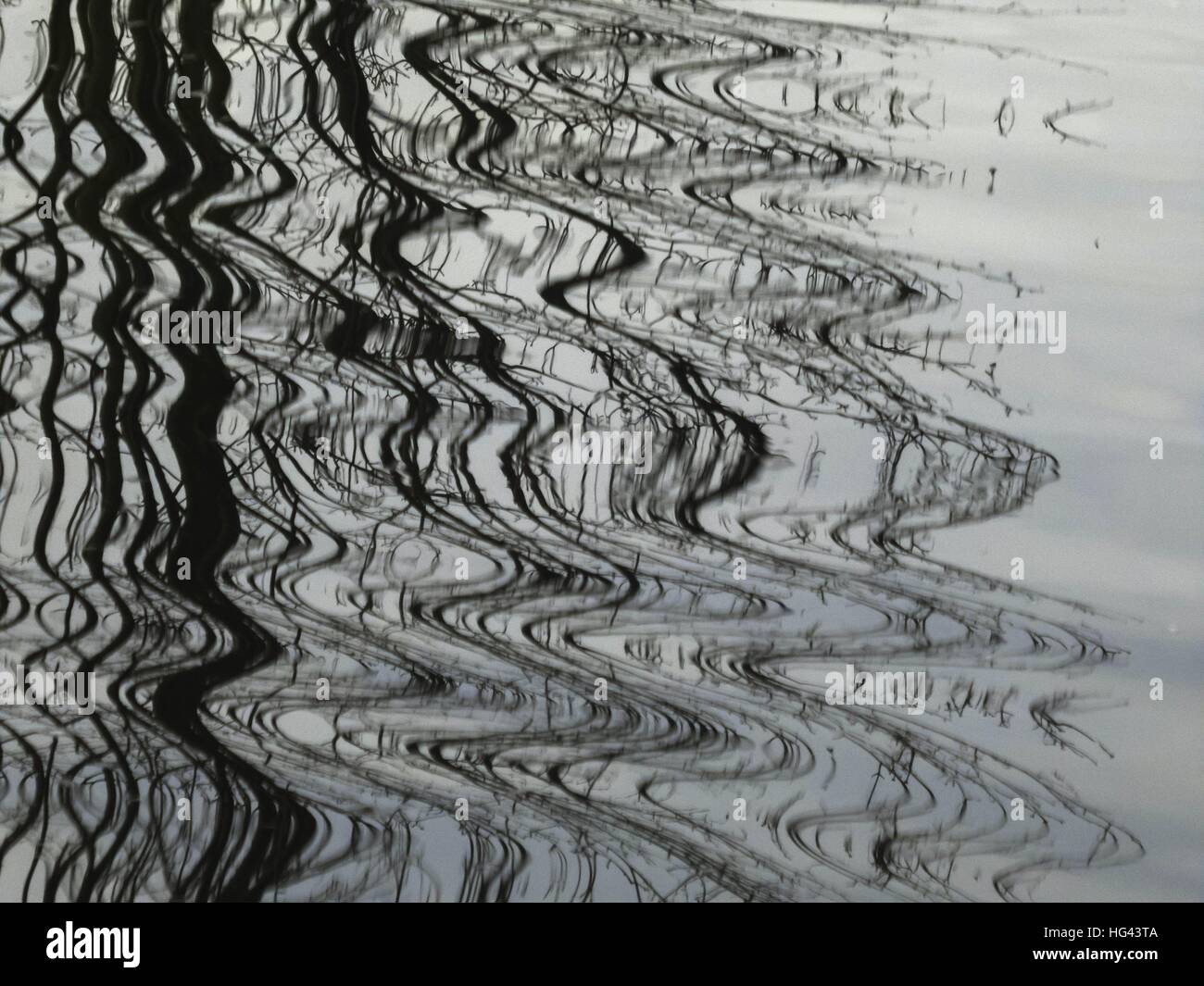 tree reflection and waves, december 2016 | usage worldwide Stock Photo - Alamy