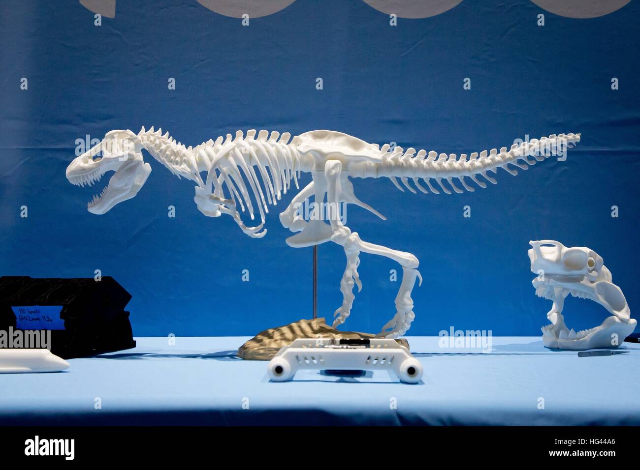 San Diego based Robo shows a dinosaur-skeleton, created with their 3D ...