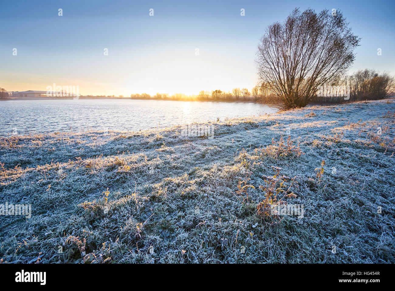 grass with frost in morning light Stock Photo - Alamy
