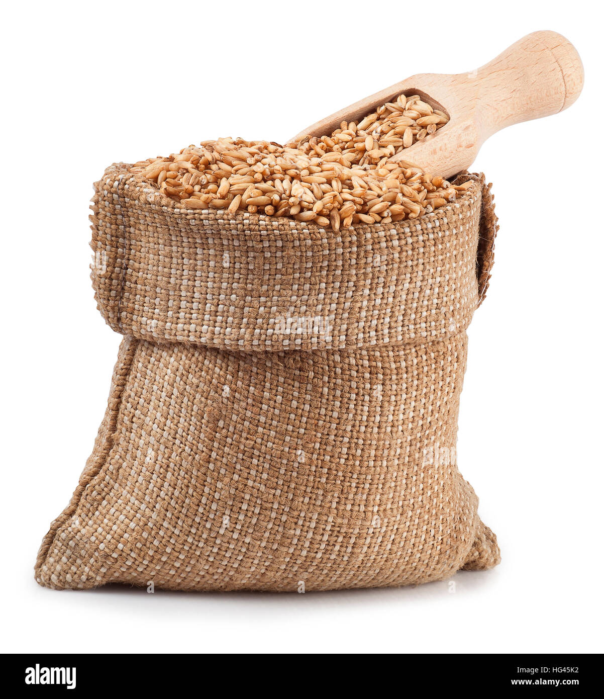 grain oats in burlap bag with wooden scoop isolate on white background ...
