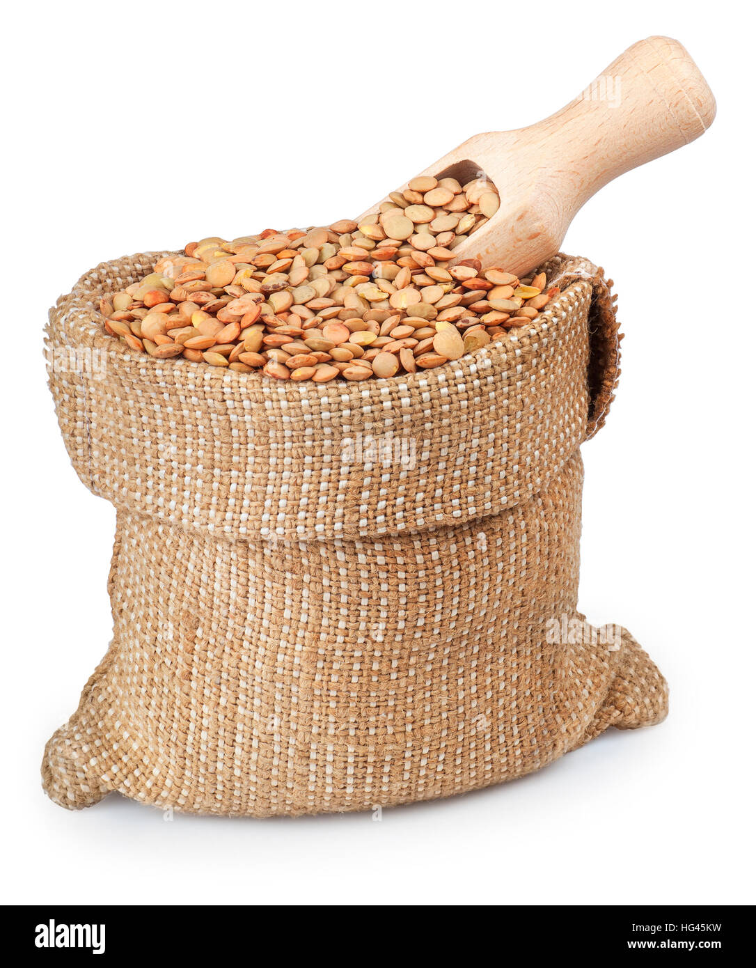 brown dried lentils with wooden scoop in burlap bag isolated on white ...