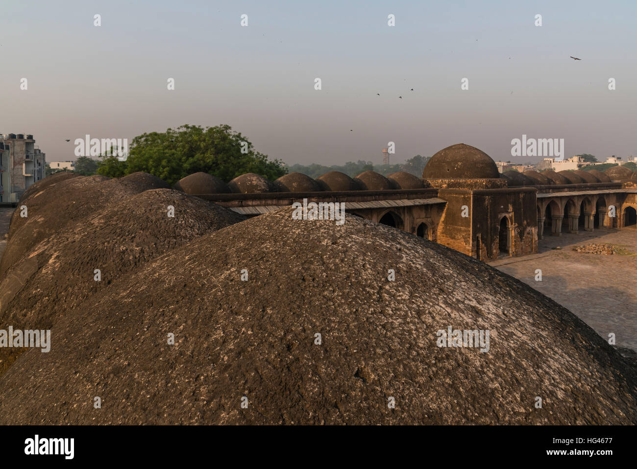 Multiple Domes on roof of Begumpur Mosque in Jahanpanah Stock Photo - Alamy
