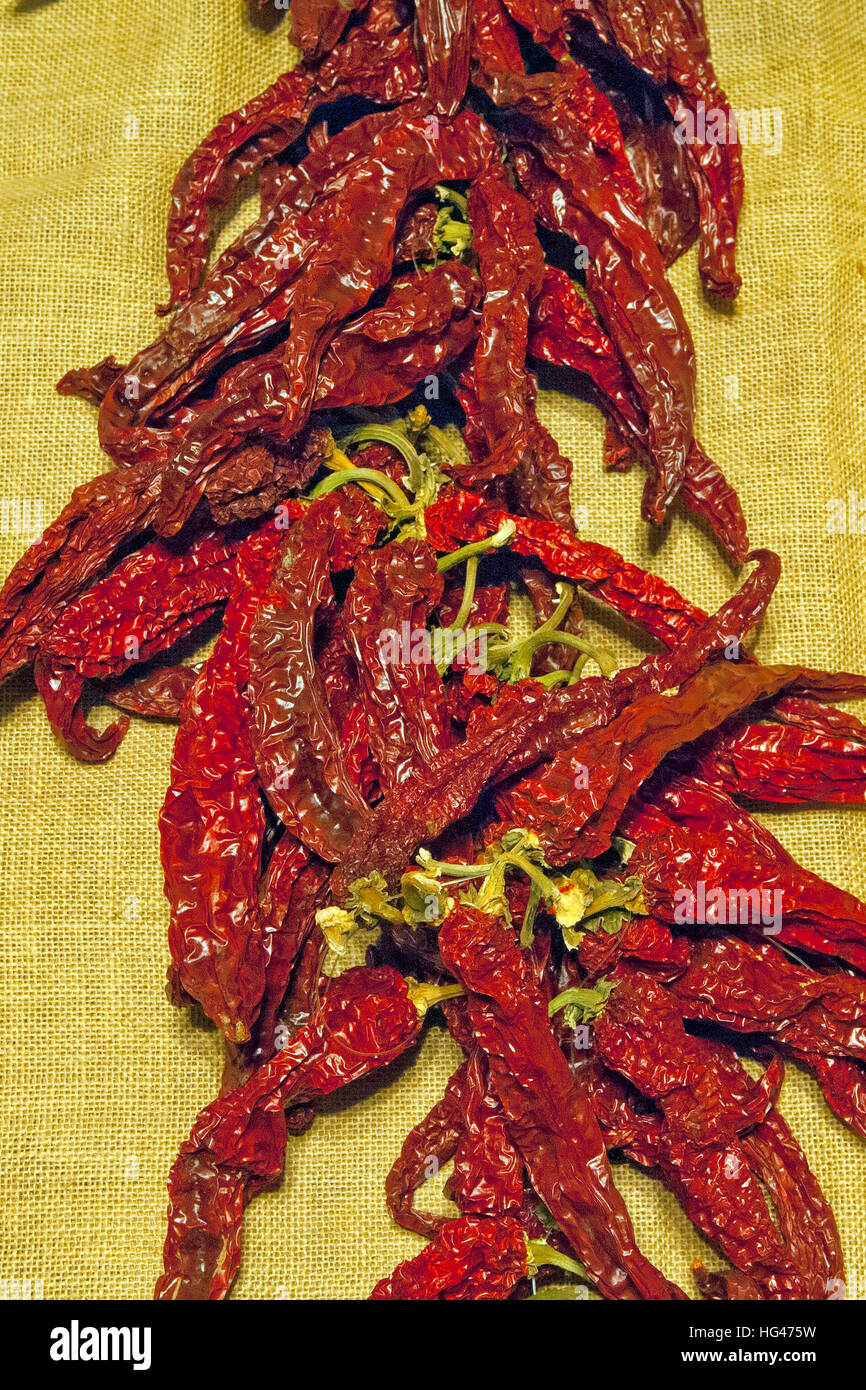 Studio di peperoni hi-res stock photography and images - Alamy