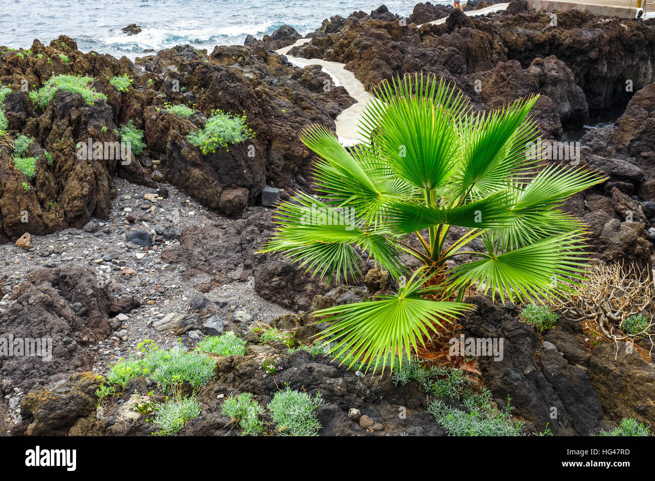 Natural volcanic pools in Garachico, Tenerife Island, Canary, Spain ...