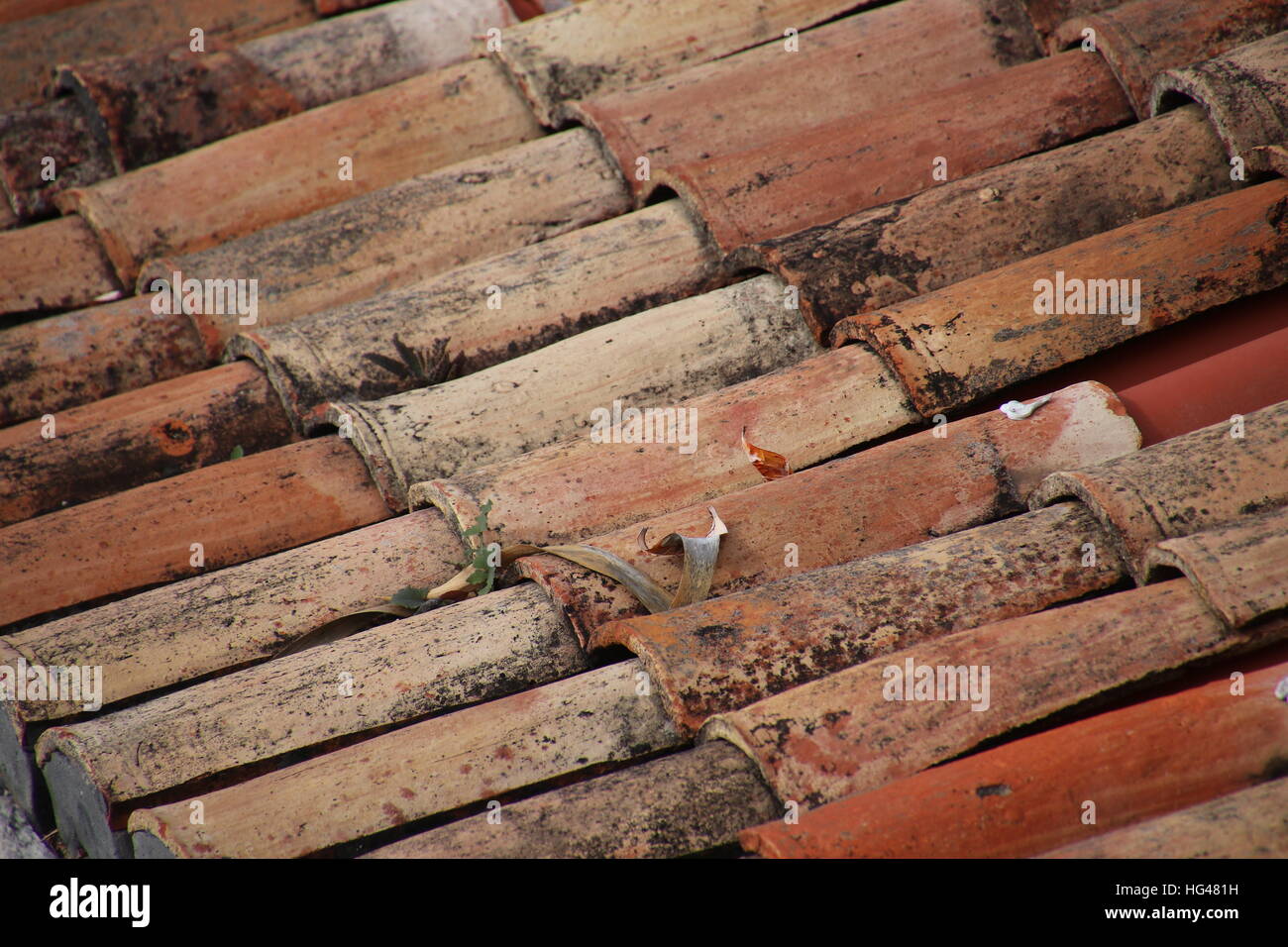 bricks on a roof Stock Photo - Alamy