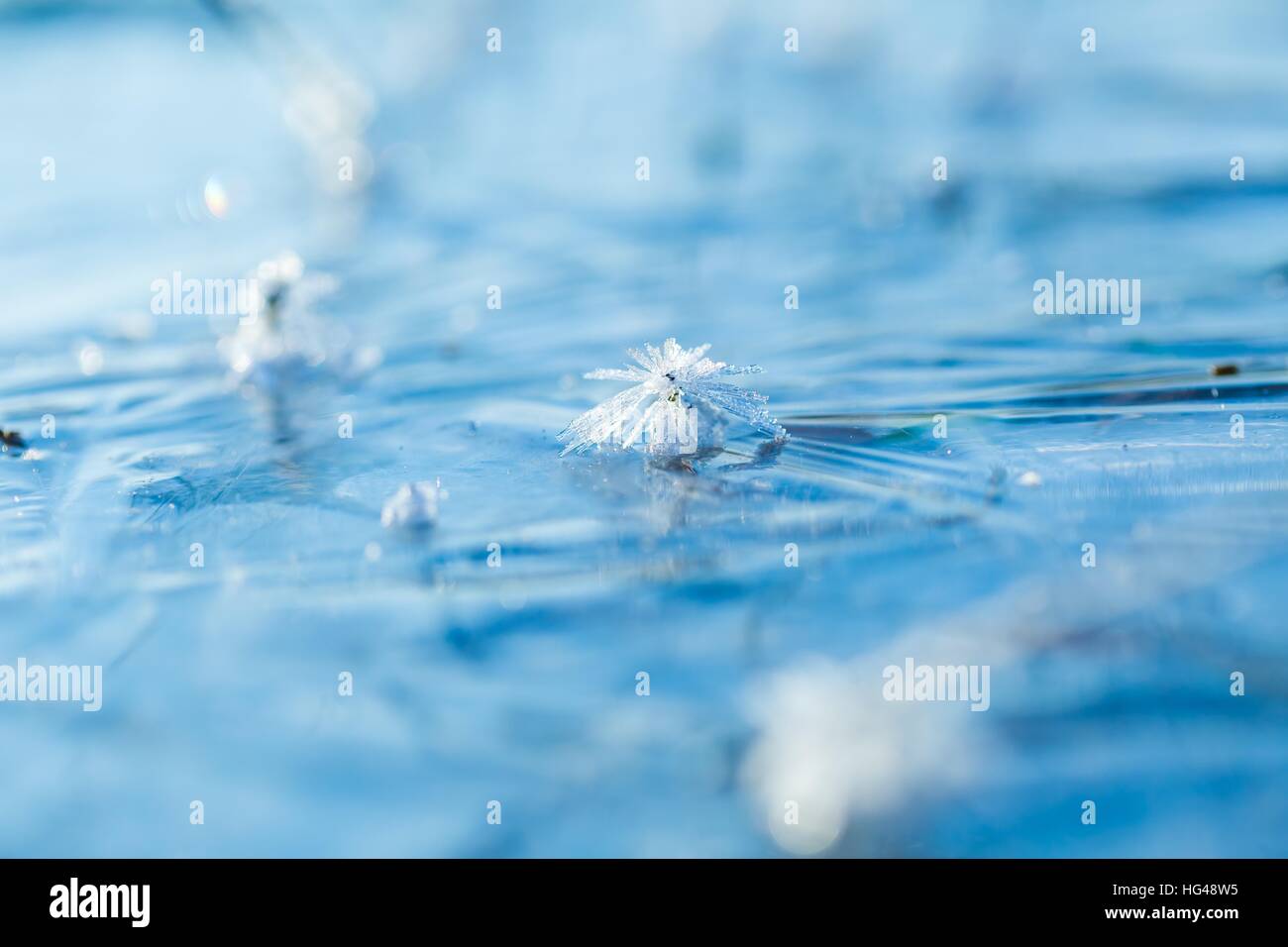 Ice on water texture. Close up of winter frozen water surface Stock ...