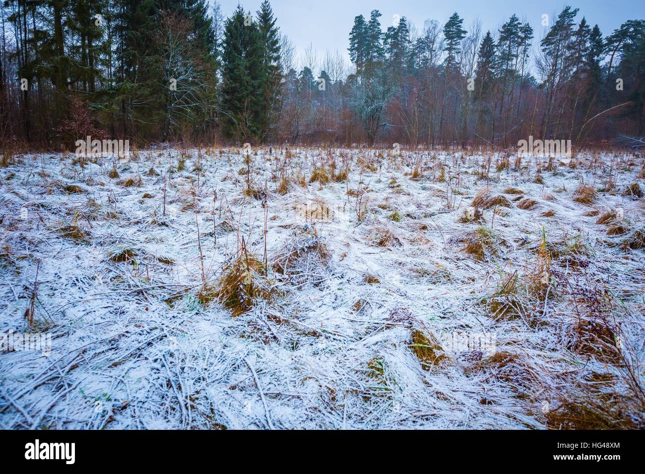 Bad weather winter meadow landscape. Winter meadow with first snow ...