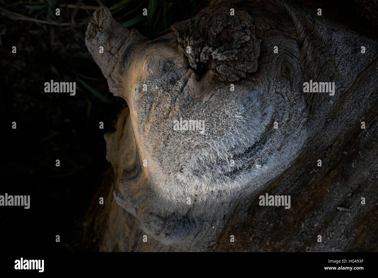 The cold heart hi-res stock photography and images - Alamy