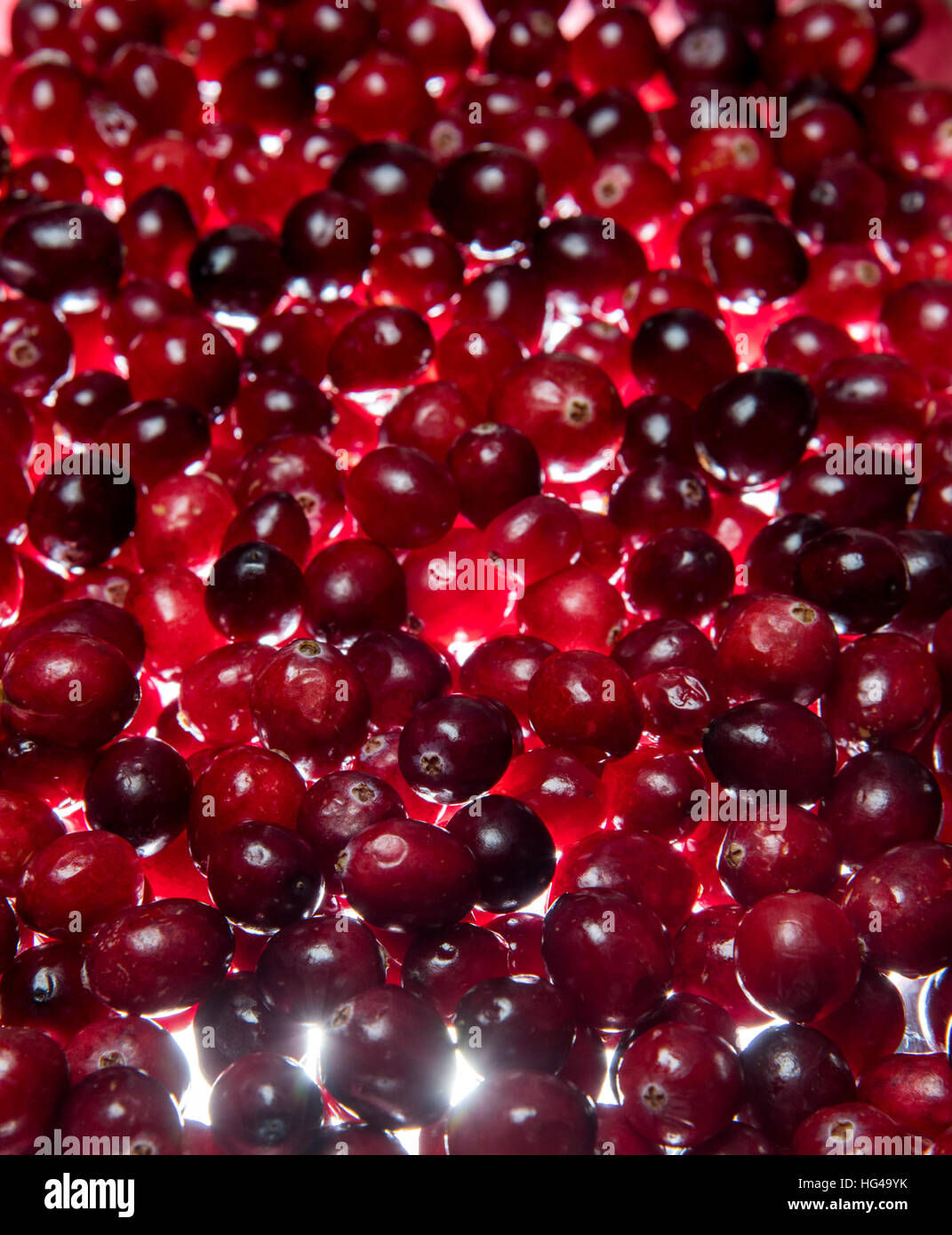 Lots of red cranberries on a bright background Stock Photo - Alamy
