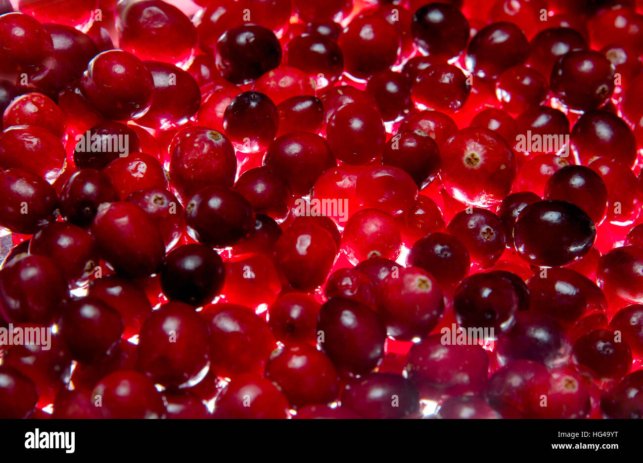 Lots of red cranberries on a bright background Stock Photo - Alamy