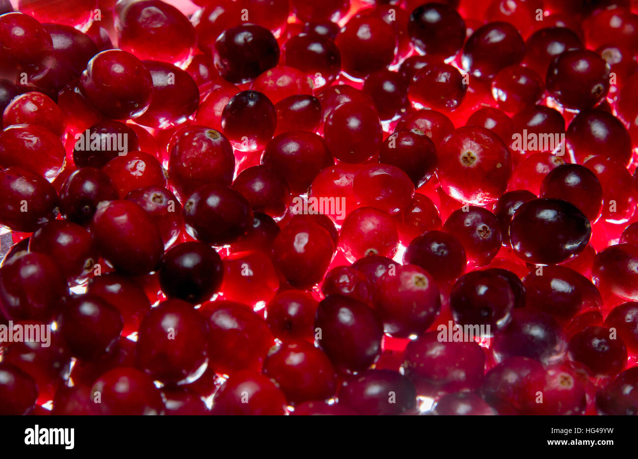 Lots of red cranberries on a bright background Stock Photo - Alamy