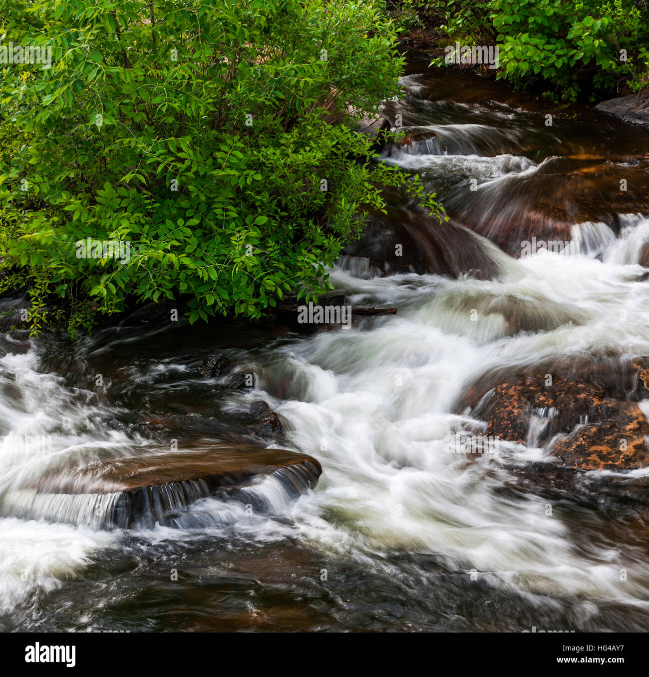 The Muskoka region of Ontario, Canada is known for its fresh water ...