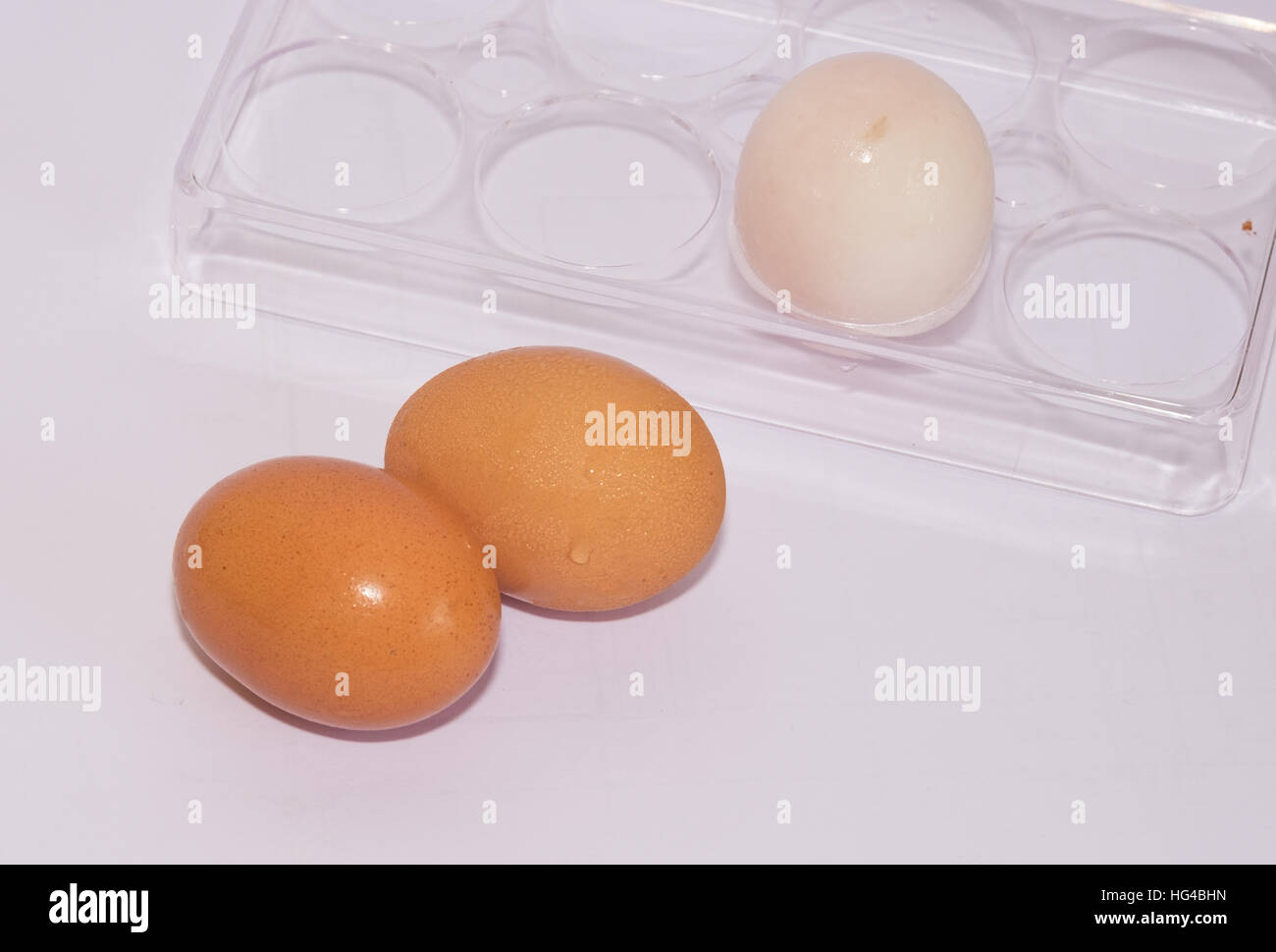 Chicken egg development hi-res stock photography and images - Alamy