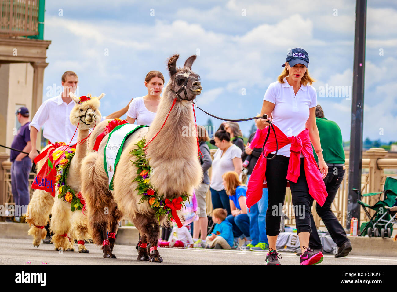 Llama floral hi-res stock photography and images - Alamy