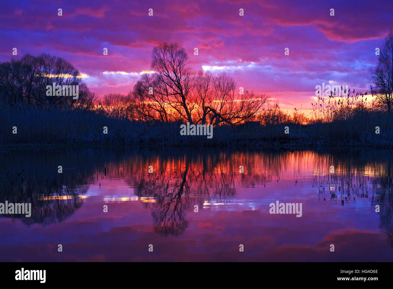 Tones of lilac hi-res stock photography and images - Alamy