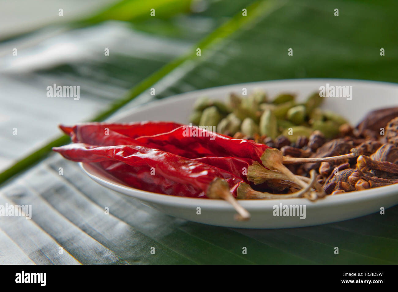 A mix of Indian spices Stock Photo - Alamy