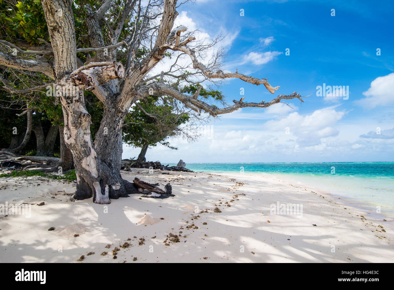 White sand and turquoise water at Laura (Lowrah) beach, Majuro atoll ...