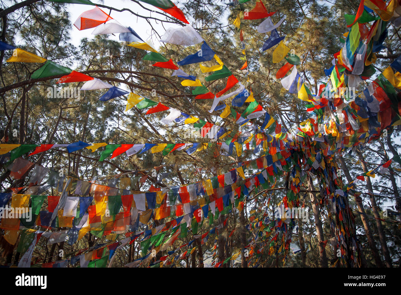 Many colorful waving prayer flags suspended between trees Stock Photo ...