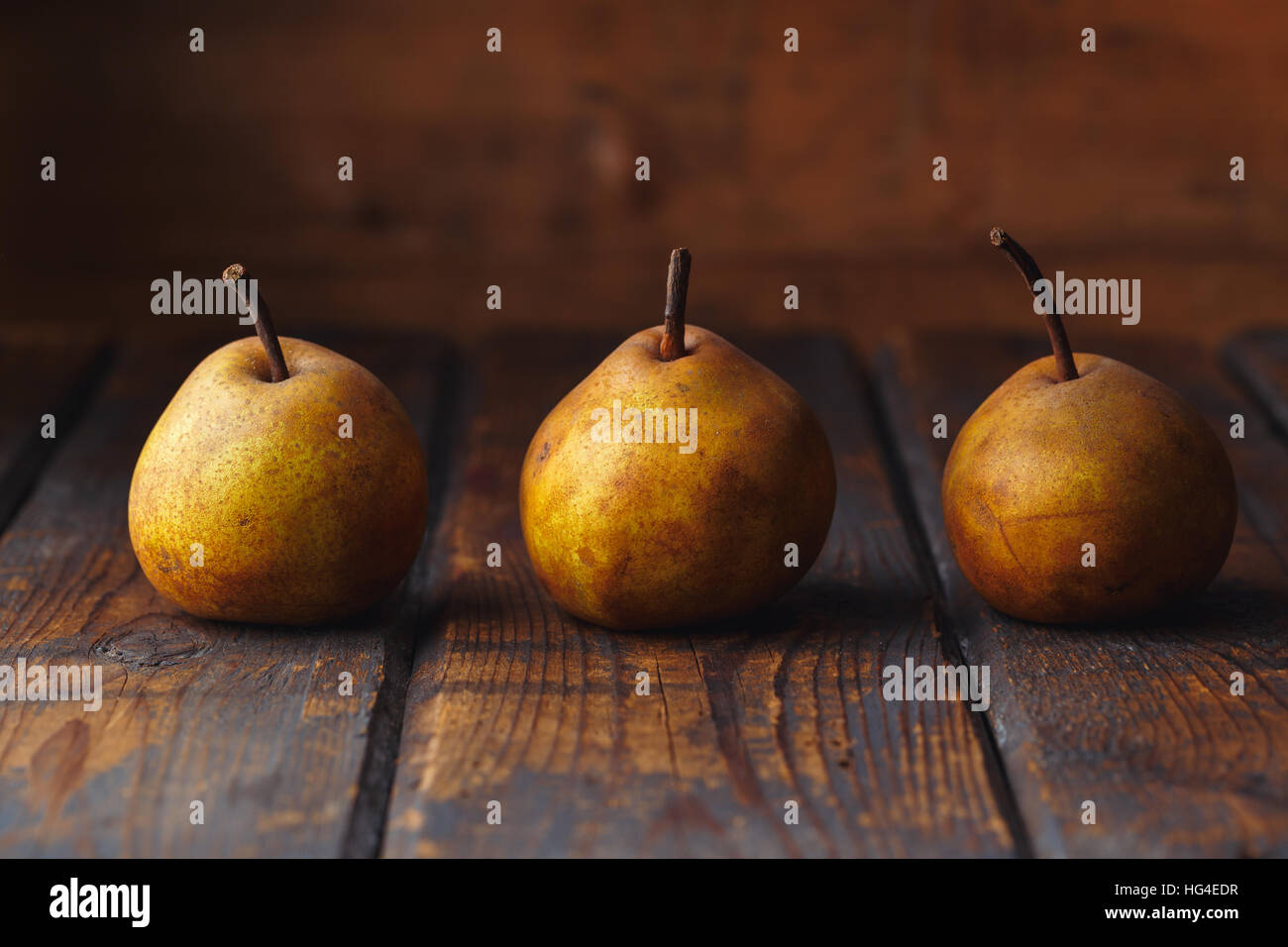 Dark brown stem hi-res stock photography and images - Alamy