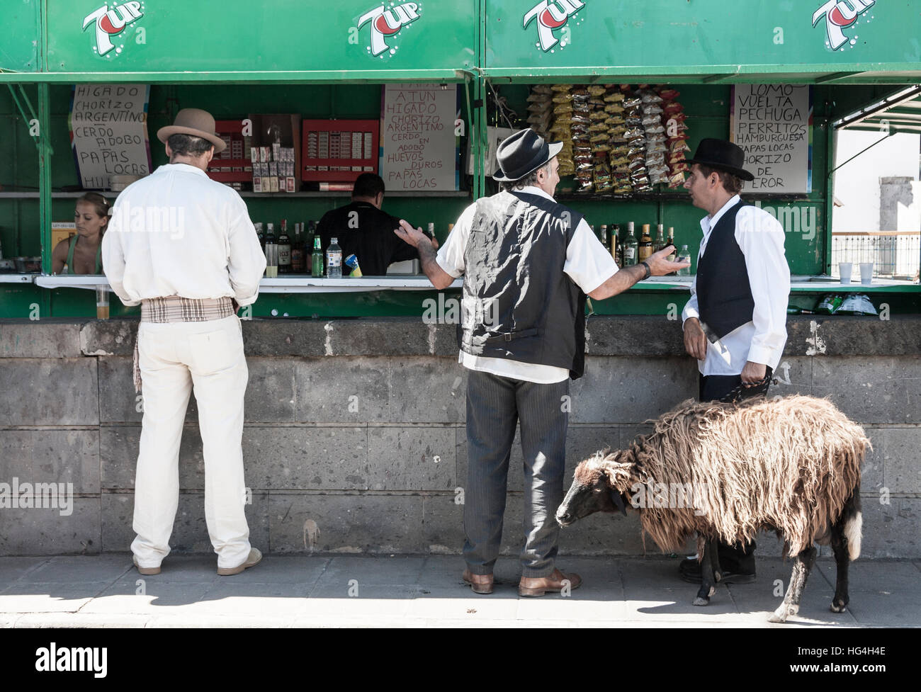Man with pet sheep on a lead at bar during local fiesta on Gran Canaria ...