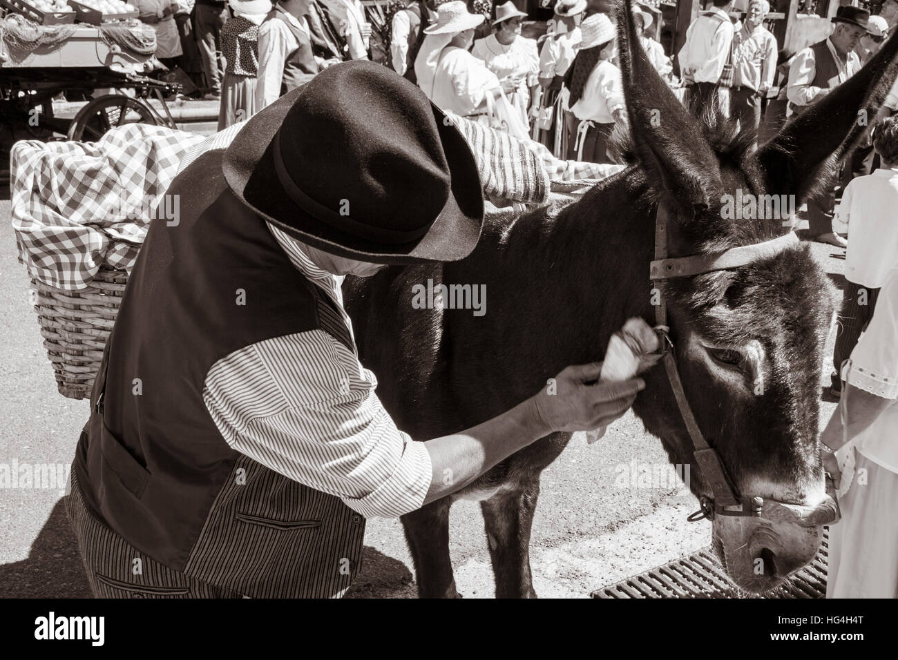 Man with donkey hi-res stock photography and images - Alamy