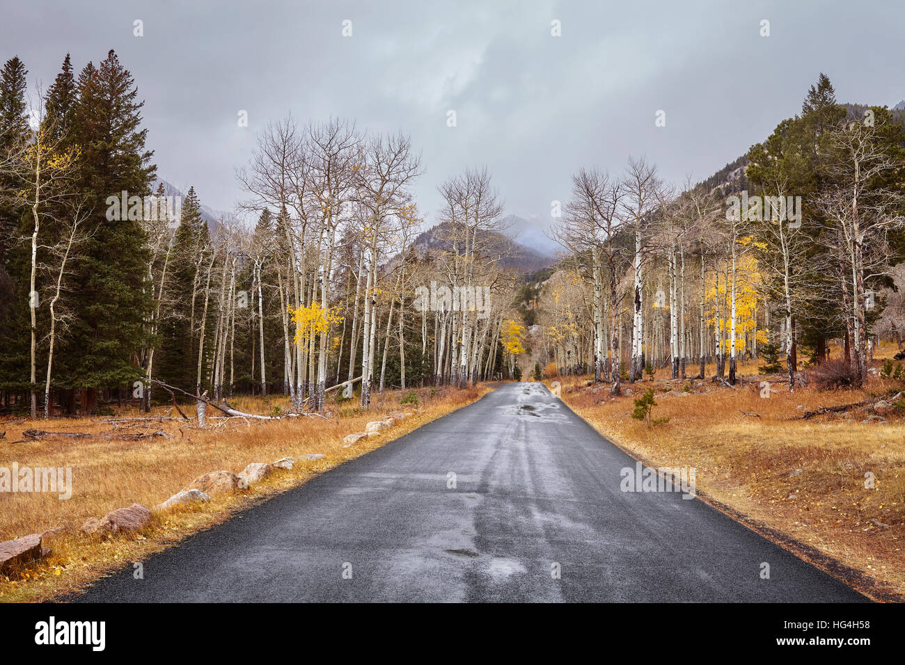Rain wet road hi-res stock photography and images - Alamy