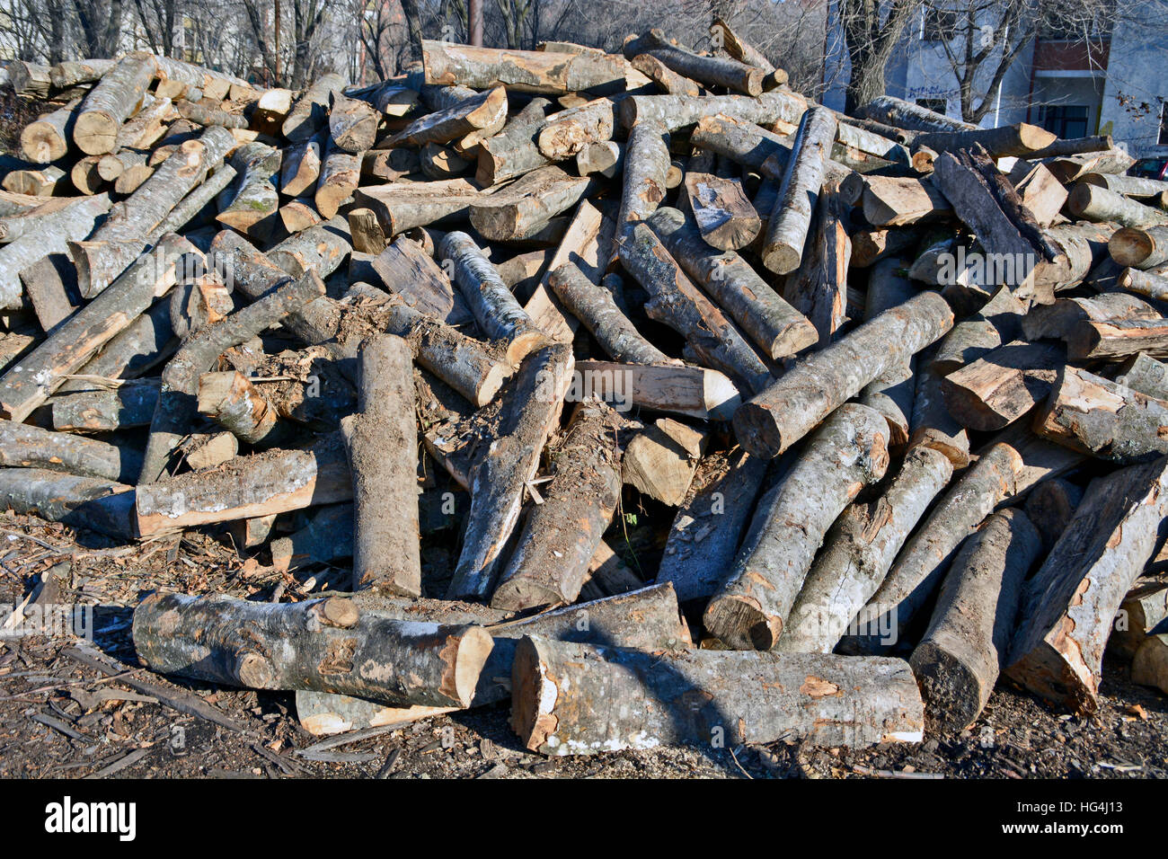 Wood at the depot, cut the log and ready for sale Stock Photo - Alamy