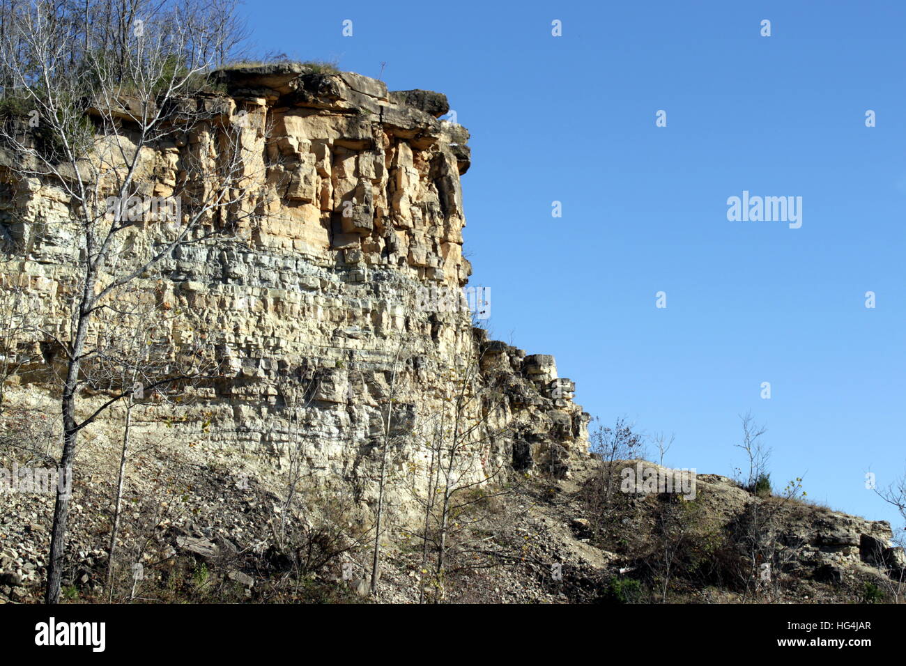 Trees on side cliff hi-res stock photography and images - Alamy