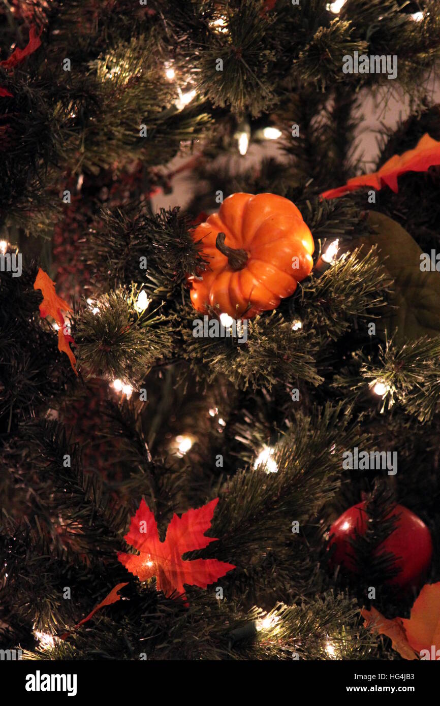 Fall tree hi-res stock photography and images - Alamy