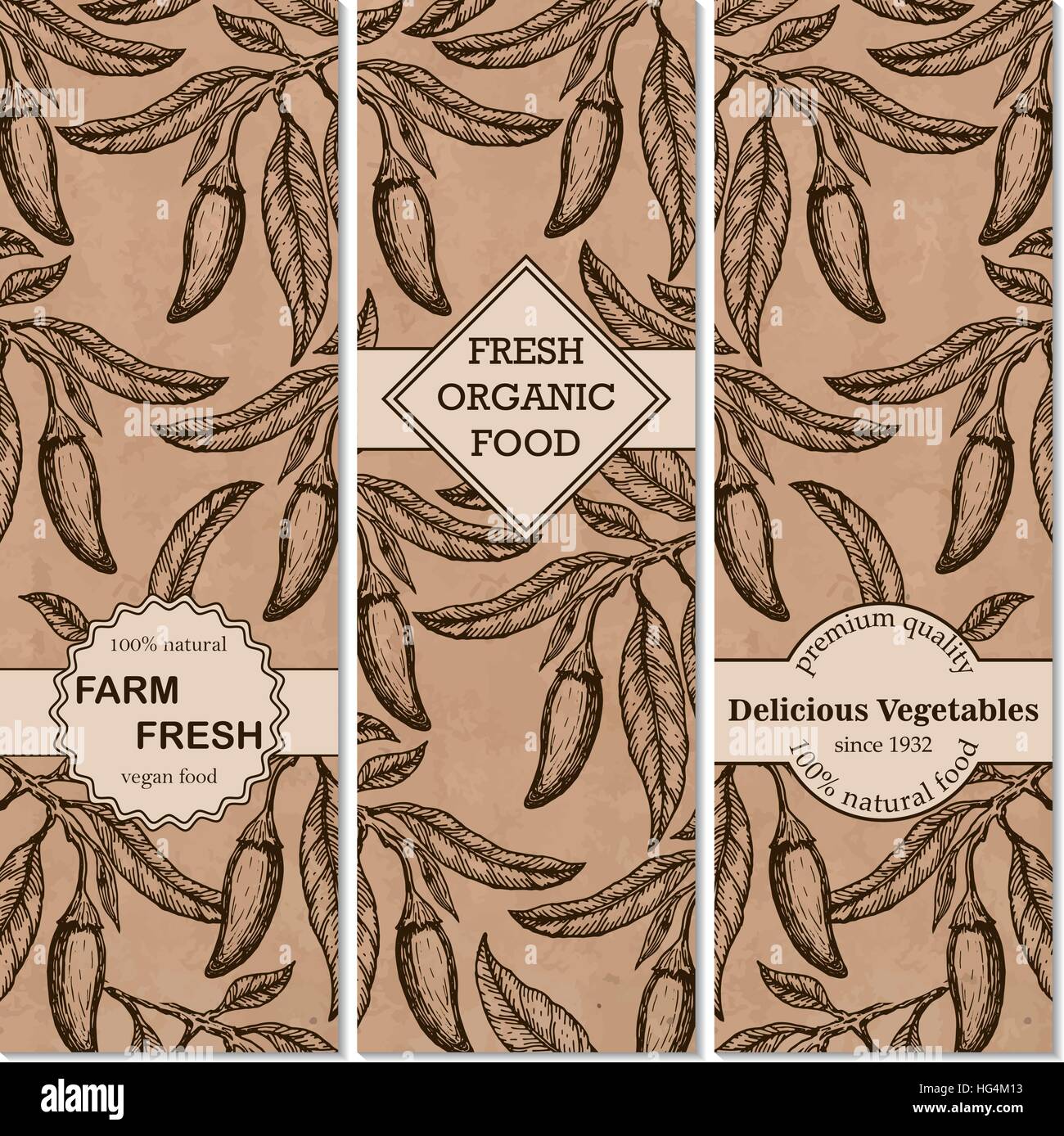Template for label design with vintage sketched chili pepper. Can be ...