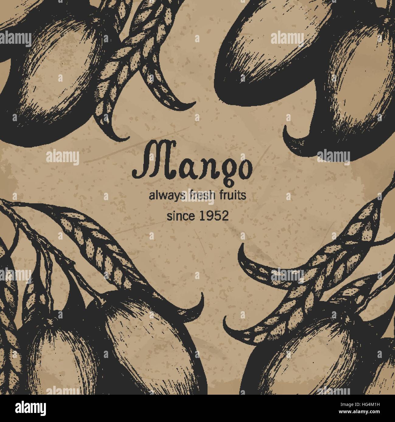 Mango tree vintage design template. Botanical mango fruit illustration ...