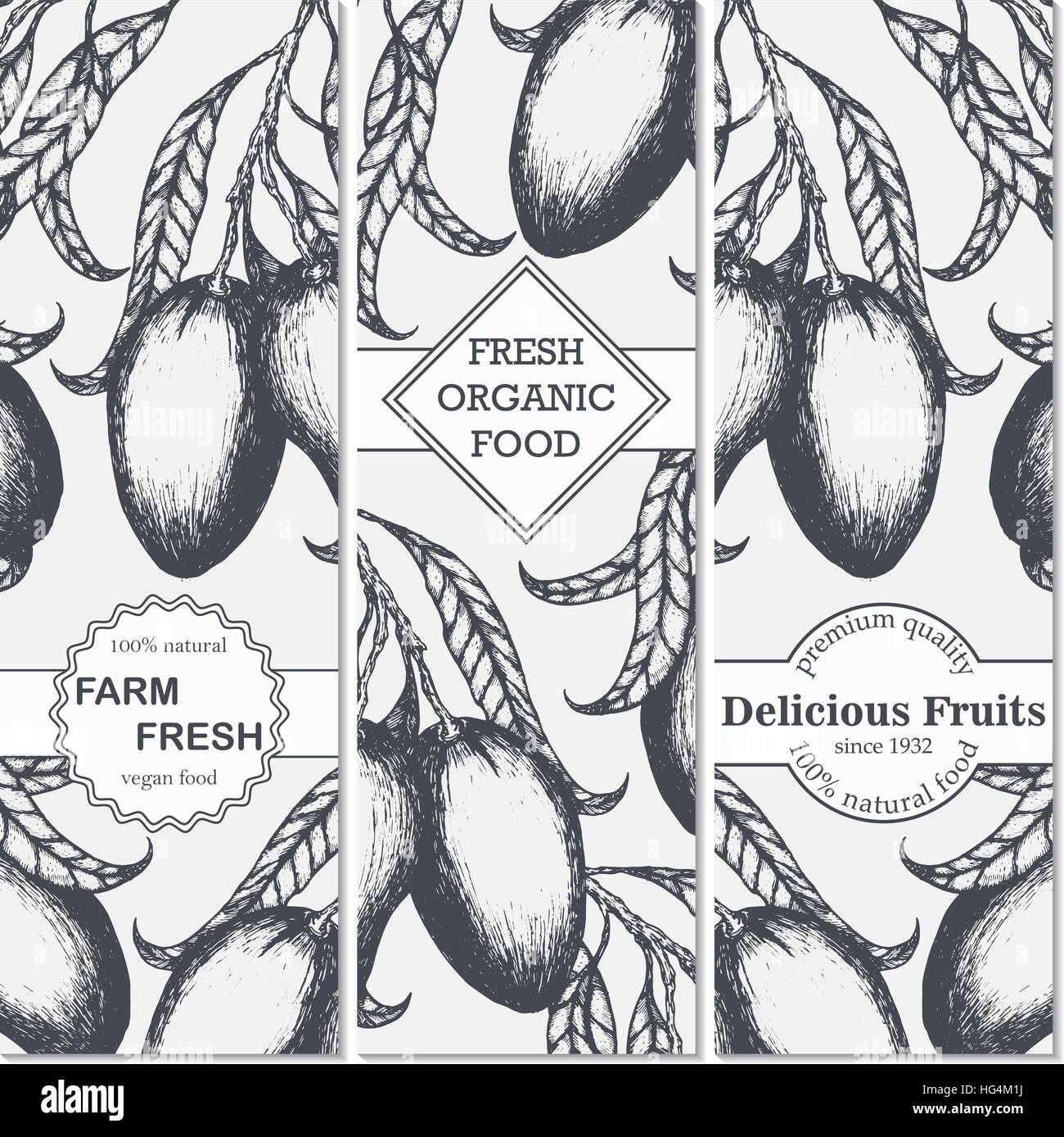 Mango hand drawn vertical banners set. Vector illustration Stock Vector ...