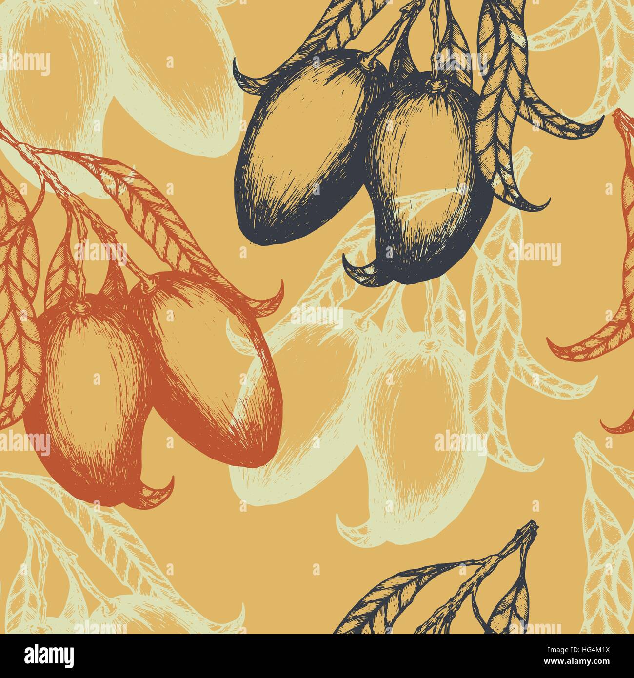 Seamless pattern with hand drawn mango fruits, design elements. Vector ...