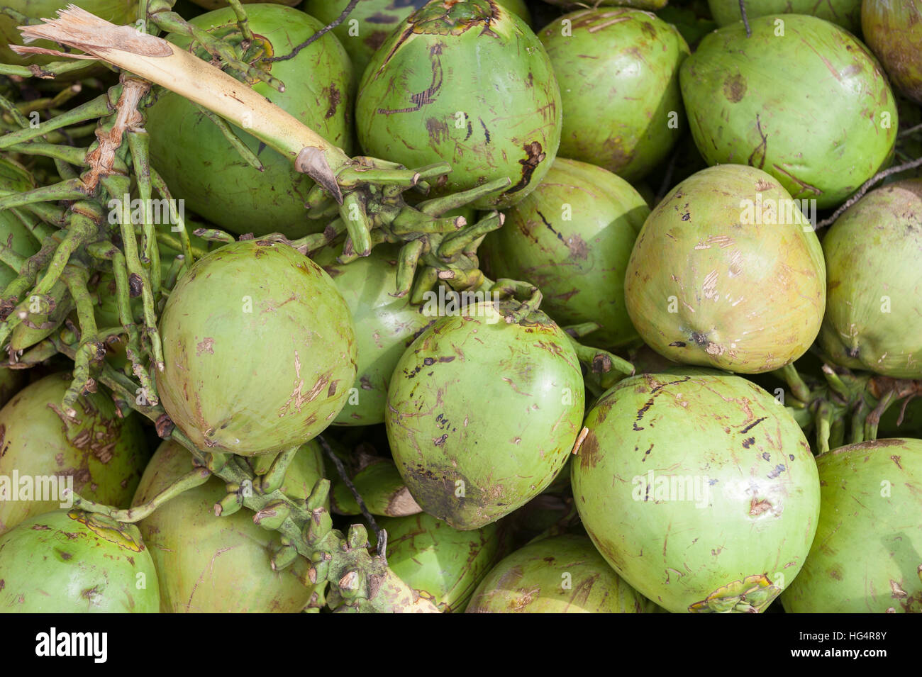 Coco Verde High Resolution Stock Photography and Images - Alamy