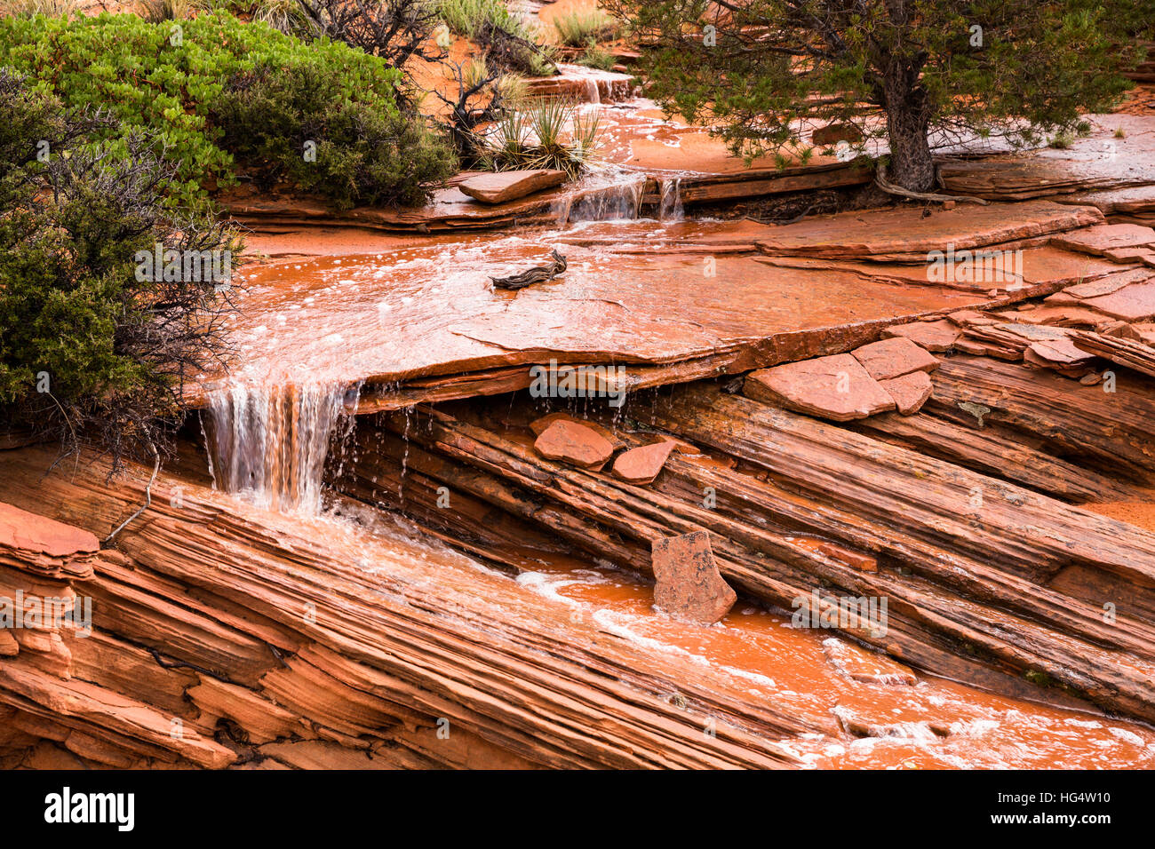 Flash floods are usually thought of as huge, destructive forces, but ...