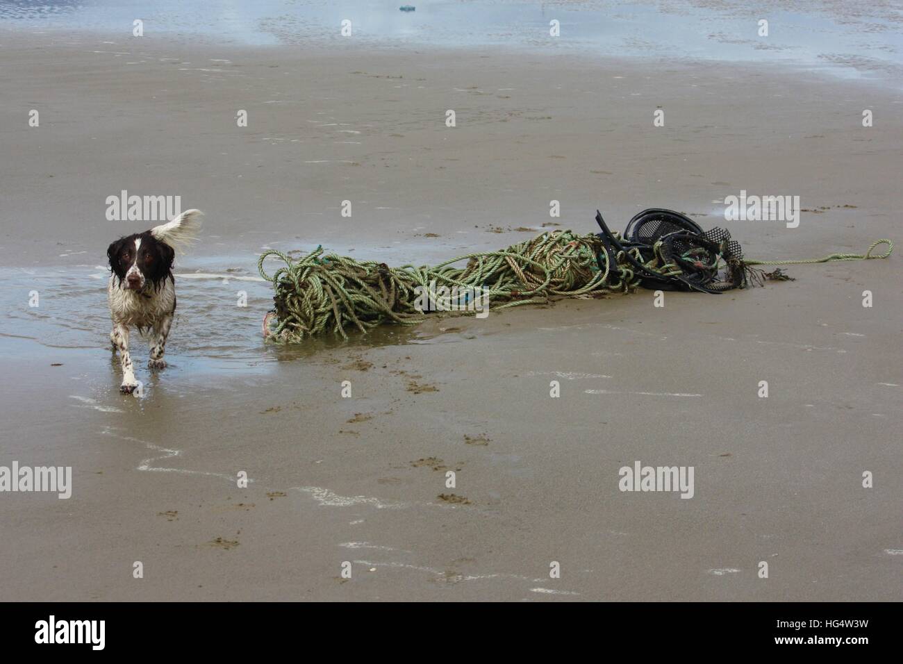 Old rope on the beach hi-res stock photography and images - Alamy