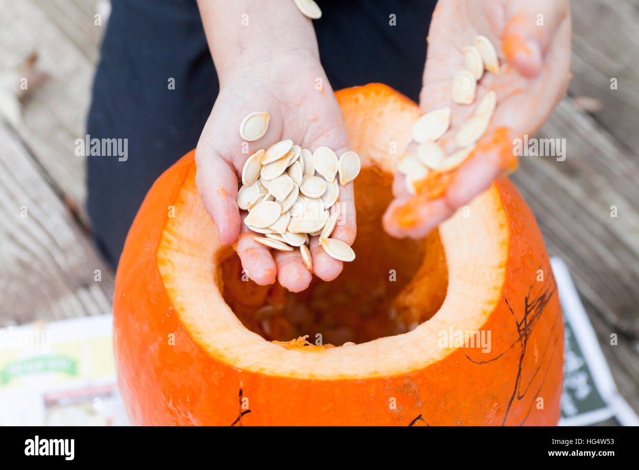 Child removing seeds from a pumpkin - USA Stock Photo - Alamy